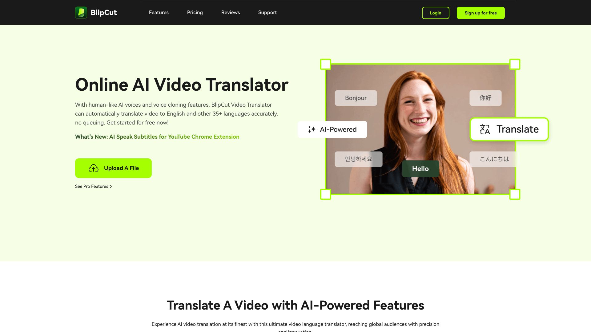 Blipcut AI Video Translator - AI-powered video translation tool ...