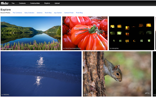 Visual Search - A Chrome plug-in for finding visually similar images ...