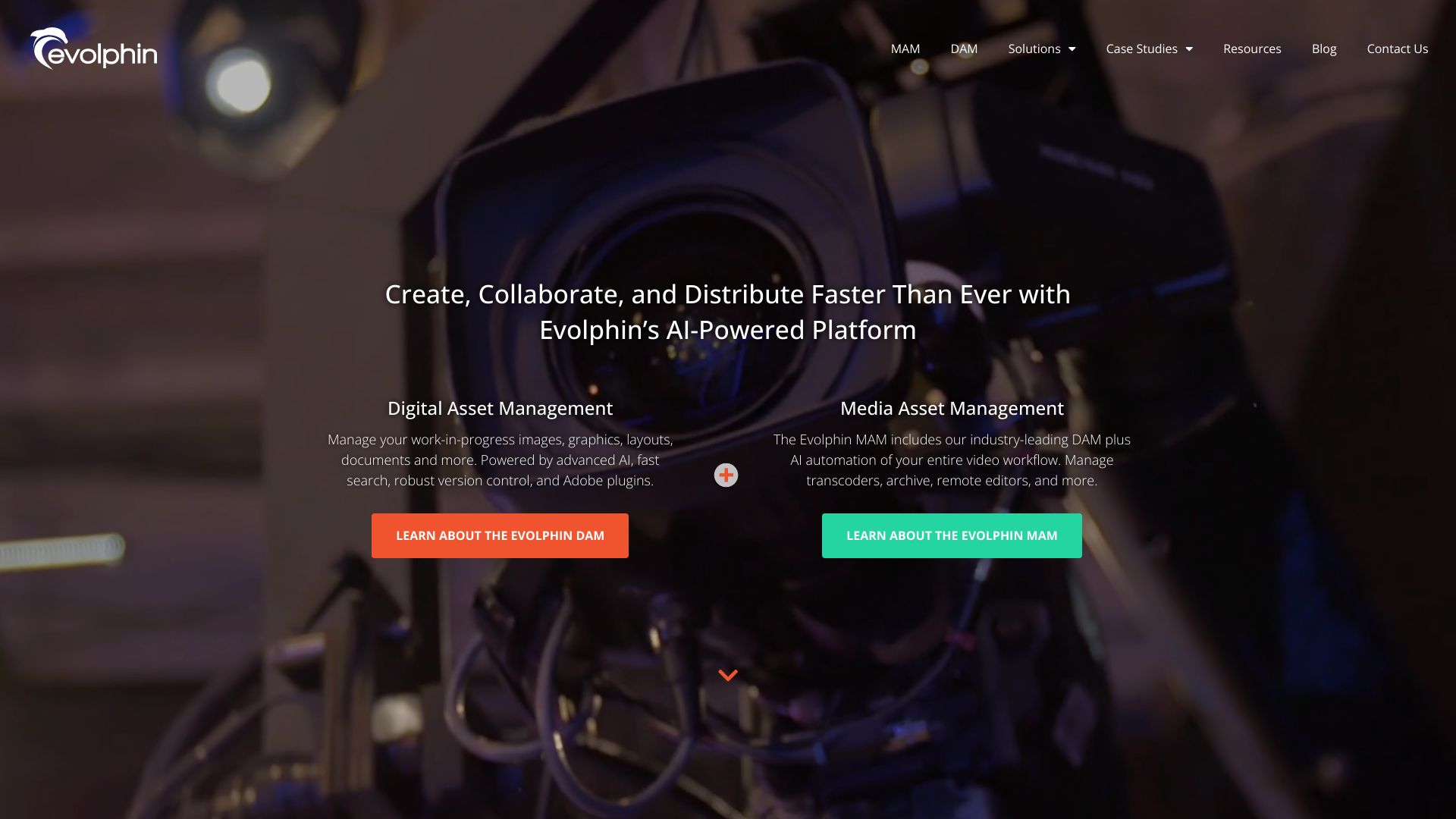 Zoom Media Asset Management System Reviews, Features, Pricing & Alter…